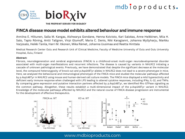 Featured Publication in Focus: FINCA disease mouse model exhibits alte ...